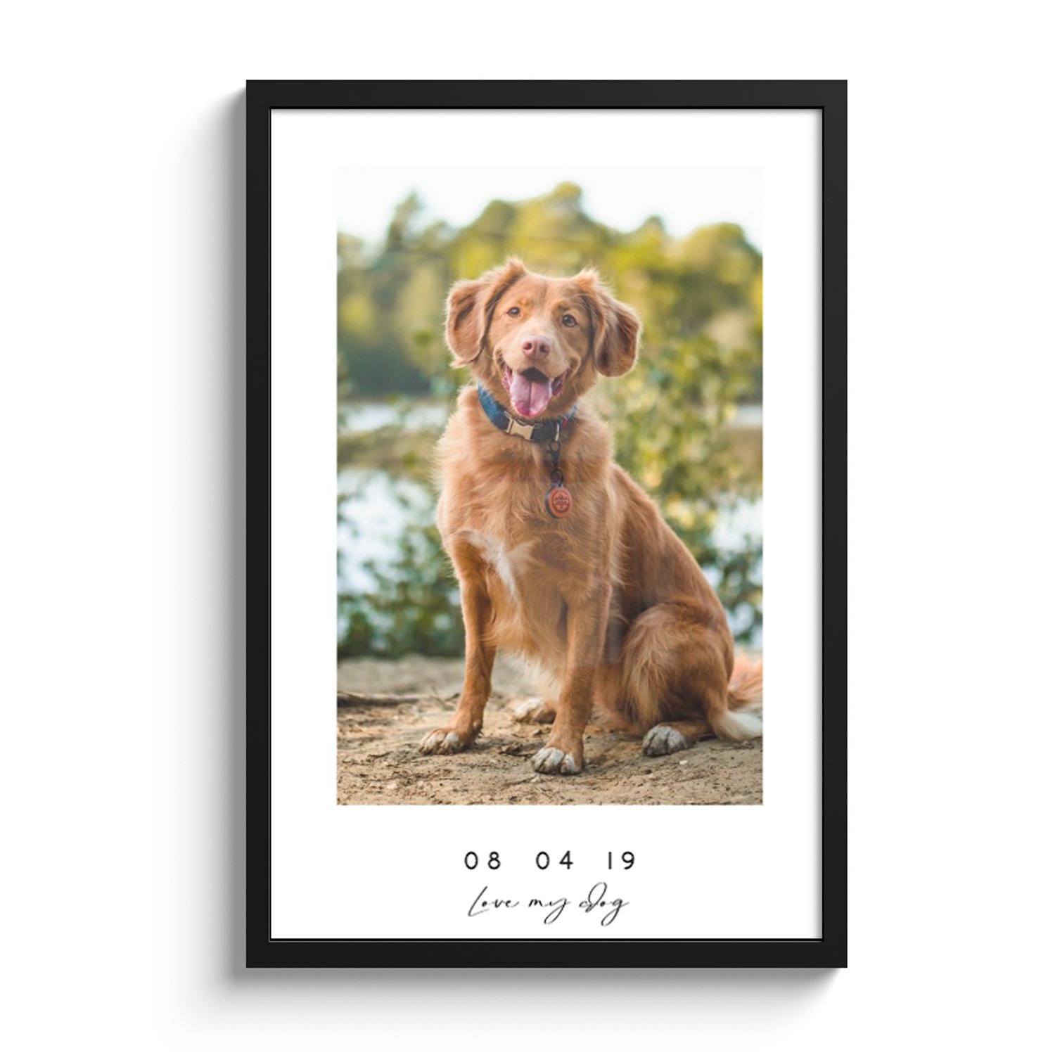 Poster personnalise de chien et de chat - 50% de RÉDUCTION ! | Hellodeco.fr